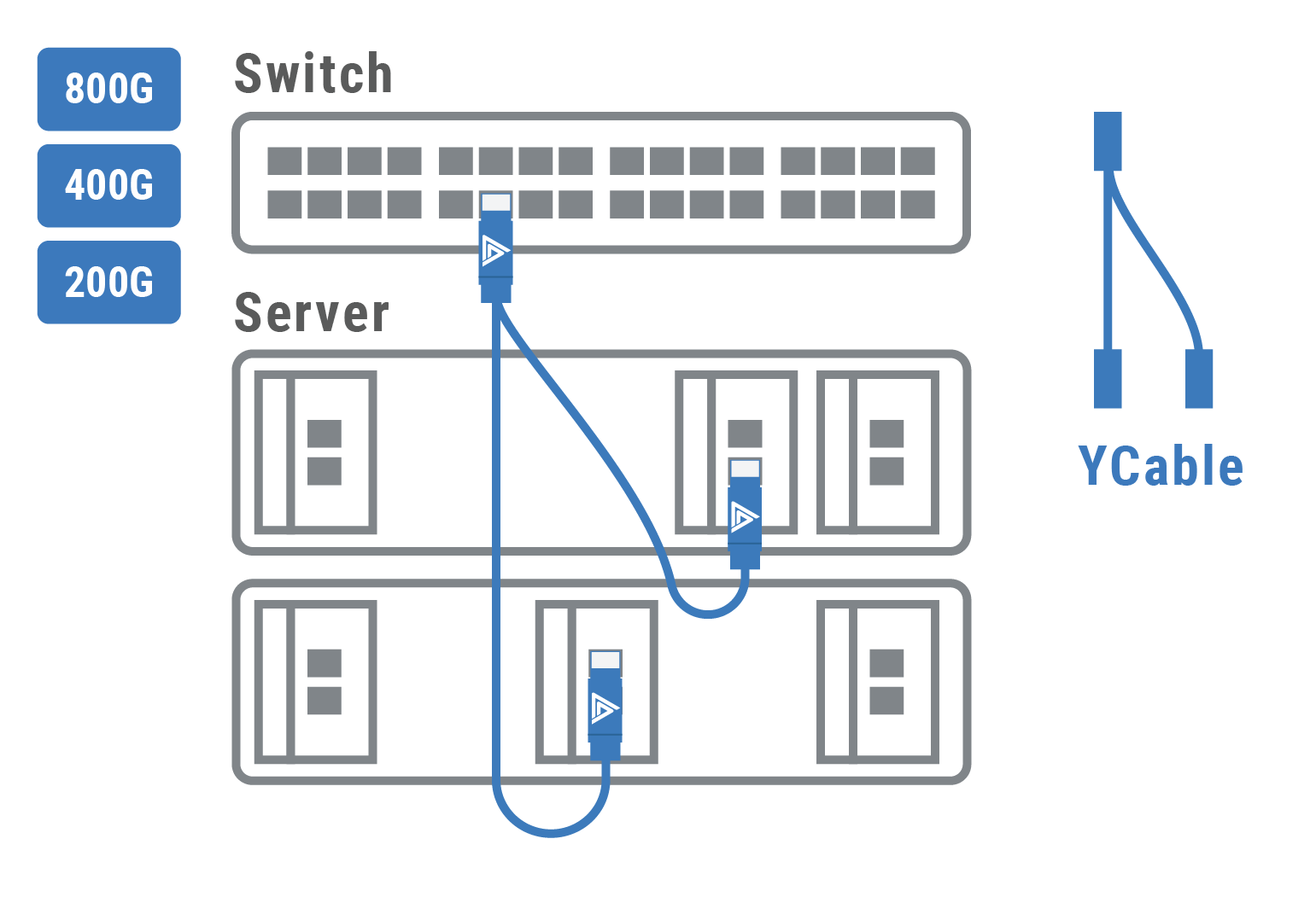 Switch-to-Server - ASTERA LABS, INC.